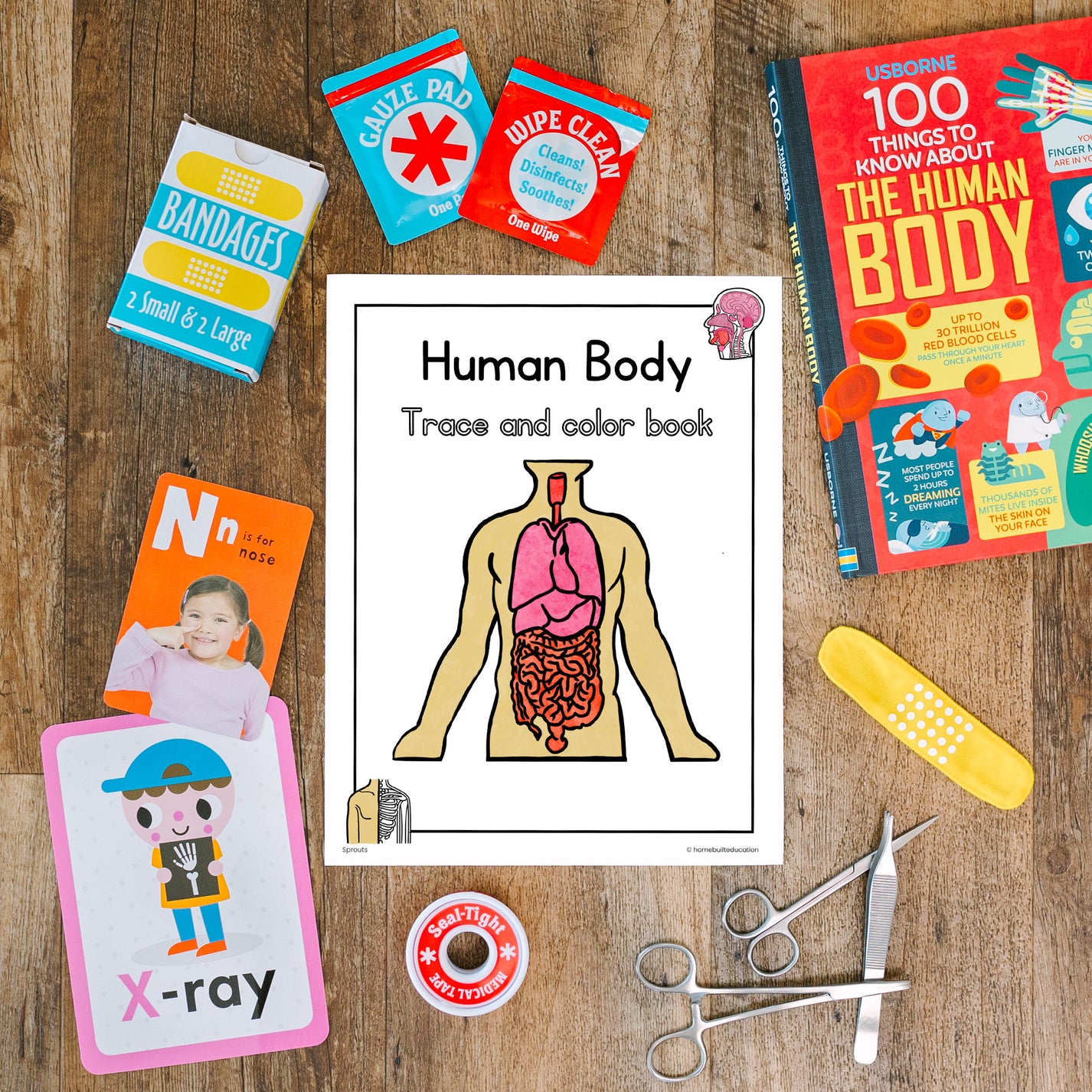 Sprouts Human Body Trace and Color Flashcards Bundle (Ages 3-5) – With ...