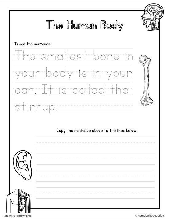 Explorers Handwriting Bundle: Anatomy Adventures (Ages 6-8) – With Love ...