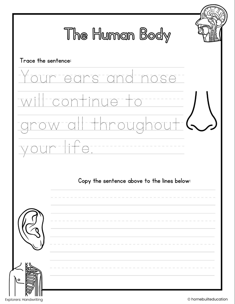 Explorers Handwriting Bundle: Anatomy Adventures (Ages 6-8) – With Love ...